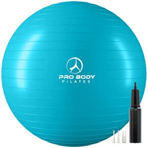 probody pilates ball yoga ball exercise ball, fresh colors balance ball or pregnancy ball for stability, as a yoga ball chair, therapy ball workout ball or birthing ball for pregnancy (sky, 65 cm)