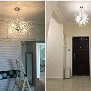 GDNS Dandelion Chandelier Firework Chandeliers LED Light Crystal Pendant Lighting Ceiling Light Fixtures Chandeliers Lighting,Dia 23.5 inch