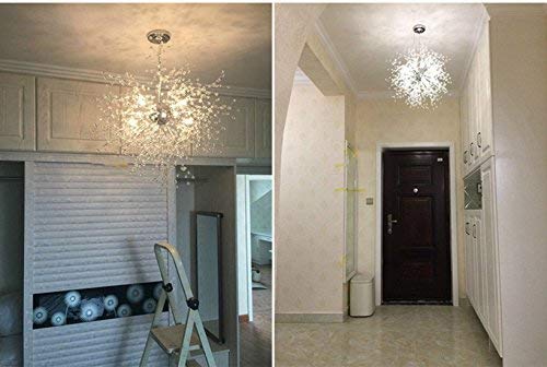 GDNS Dandelion Chandelier Firework Chandeliers LED Light Crystal Pendant Lighting Ceiling Light Fixtures Chandeliers Lighting,Dia 23.5 inch