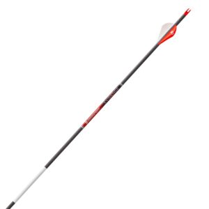 bloodsport evidence precise durable carbon fletched hunting arrow for compound bow - 31" length.165 micro-diameter.001 straightness, 6 pack, 300 spine,black