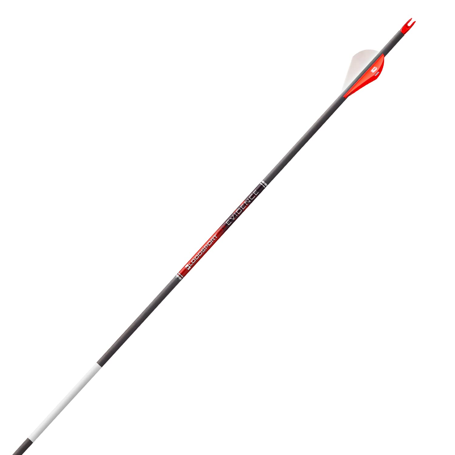 BLOODSPORT Evidence Precise Durable Carbon Fletched Hunting Arrow for Compound Bow - 31" Length.165 Micro-Diameter.001 Straightness, 6 Pack, 300 Spine,Black