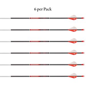 BLOODSPORT Evidence Precise Durable Carbon Fletched Hunting Arrow for Compound Bow - 31" Length.165 Micro-Diameter.001 Straightness, 6 Pack, 300 Spine,Black