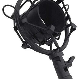 Rockville RCM02 Pro Studio Recording Condenser Microphone Mic+Metal Shock Mount, Black