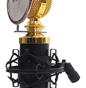 Rockville RCM02 Pro Studio Recording Condenser Microphone Mic+Metal Shock Mount, Black