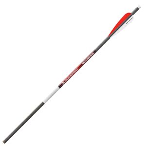 bloodsport unisex adult precise durable carbon hunting arrow for - 325 grains|300 spine|.003" straightness| witness 20 crossbow bolt , black, us