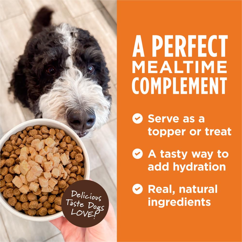 Instinct Healthy Cravings Grain Free Real Beef Recipe Natural Wet Dog Food Topper, 3 Oz (Pack of 24)