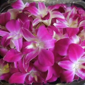 Fresh Loose Purple Dendrobium Orchid Blossoms 50 ct.