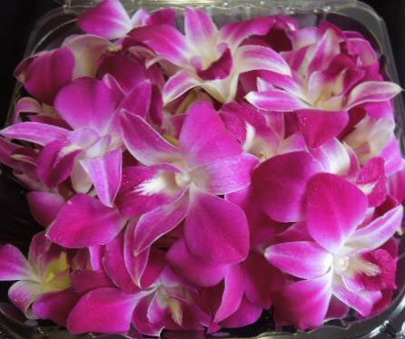 Fresh Loose Purple Dendrobium Orchid Blossoms 50 ct.