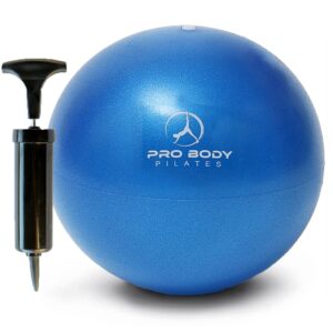 probody pilates ball small exercise ball w/pump, 9 inch barre ball, mini soft yoga ball, workout ball for stability, barre, ab, core, and physical therapy ball at home gym & office (blue)