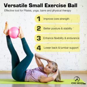 ProBody Pilates Ball Small Exercise Ball w/Pump, 9 Inch Barre Ball, Mini Soft Yoga Ball, Workout Ball for Stability, Barre, Ab, Core, and Physical Therapy Ball at Home Gym & Office (Blue)