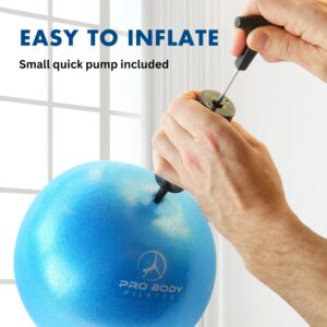 ProBody Pilates Ball Small Exercise Ball w/Pump, 9 Inch Barre Ball, Mini Soft Yoga Ball, Workout Ball for Stability, Barre, Ab, Core, and Physical Therapy Ball at Home Gym & Office (Blue)