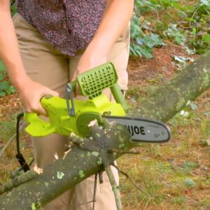 Sun Joe SWJ806E 8-Inch 8.0 Amp 2-in-1 Convertible Pole Chain Saw, Green