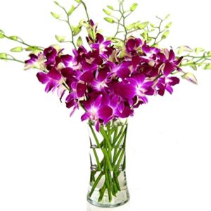 Fresh Cut Flowers -Dendrobium Purple Orchids with Vase Gift for Birthday, Sympathy, Anniversary, Get Well, Thank You, Valentine, Mother’s Day Flowers and Easter