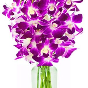 Fresh Cut Flowers -Dendrobium Purple Orchids with Vase Gift for Birthday, Sympathy, Anniversary, Get Well, Thank You, Valentine, Mother’s Day Flowers and Easter