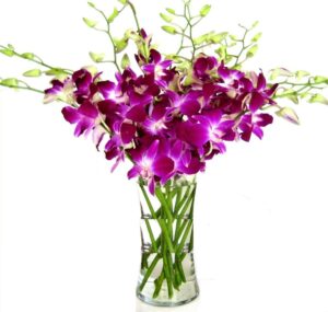 fresh cut flowers -dendrobium purple orchids with vase gift for birthday, sympathy, anniversary, get well, thank you, valentine, mother’s day flowers and easter