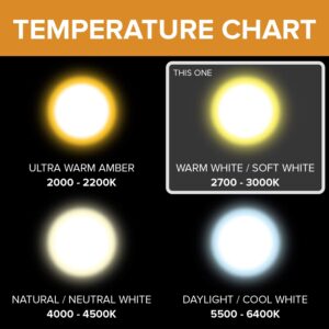 12Vmonster DC 12V 6 Watt Warm White 2700k LED Edison Filament A60 A19 Light Bulb E26 E27 Medium Base Lamp DC 12V 24V 36V Camping RV Cabin DC Battery Bank System Lighting Tesla Powerwall Motor Home PV