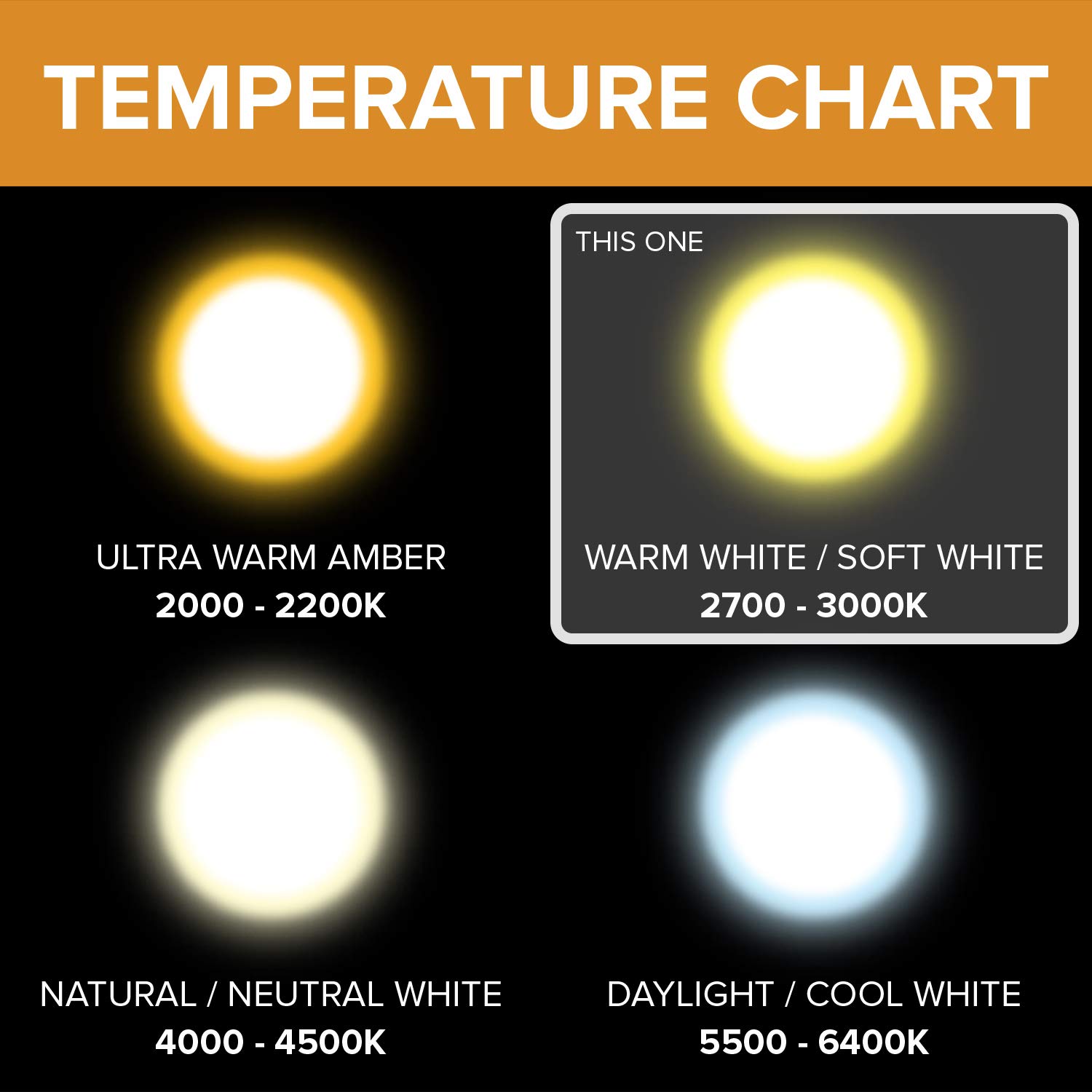 12Vmonster DC 12V 6 Watt Warm White 2700k LED Edison Filament A60 A19 Light Bulb E26 E27 Medium Base Lamp DC 12V 24V 36V Camping RV Cabin DC Battery Bank System Lighting Tesla Powerwall Motor Home PV