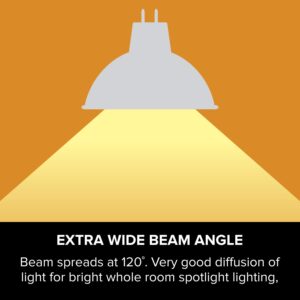 12Vmonster DC 12V 6 Watt Warm White 2700k LED Edison Filament A60 A19 Light Bulb E26 E27 Medium Base Lamp DC 12V 24V 36V Camping RV Cabin DC Battery Bank System Lighting Tesla Powerwall Motor Home PV