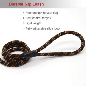 Coolrunner Durable Dog Slip Rope Leash, 5 FT Dog Training Leash, Strong Slip Lead, Standard Adjustable Pet Slipknot Leash for Small Medium Dogs(10-80 lb) Black