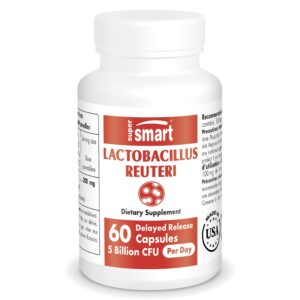 supersmart - lactobacillus reuteri 5 billion cfu per day - probiotic supplement | non-gmo & gluten free - 60 dr capsules