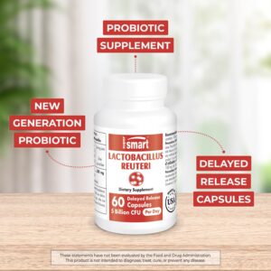 Supersmart - Lactobacillus Reuteri 5 Billion CFU per Day - Probiotic Supplement | Non-GMO & Gluten Free - 60 DR Capsules