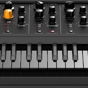 Studiologic Sledge 2 Black Edition Synthesizer with 61-Key Semi-Weighted Keyboard