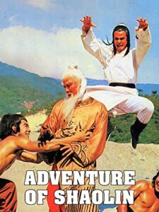 adventure of shaolin