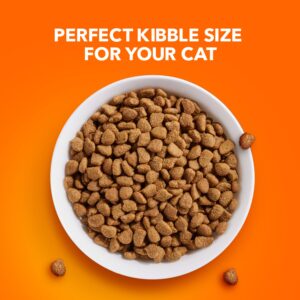 IAMS PROACTIVE HEALTH Adult Healthy Dry Cat Food with Chicken Cat Kibble, 3.5 lb. Bag