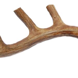 XL Deer Antler Dog Chew - Extra Large, Jumbo, for Large Dogs and Puppies Who are Aggressive Chewers