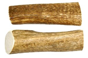 big dog antler chews - extra large 2-pack elk antler dog chews, 6 inches to 10 inches long, for medium to large dogs and puppies