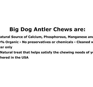 Big Dog Antler Chews - Extra Large 2-Pack Elk Antler Dog Chews, 6 Inches to 10 inches Long, for Medium to Large Dogs and Puppies