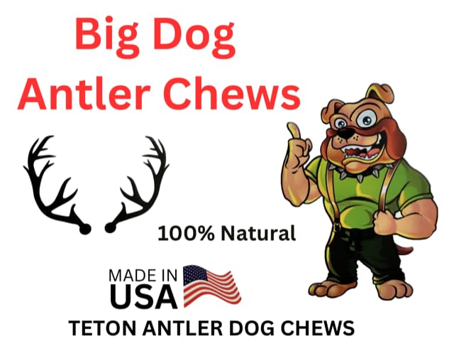 Big Dog Antler Chews - Extra Large 2-Pack Elk Antler Dog Chews, 6 Inches to 10 inches Long, for Medium to Large Dogs and Puppies