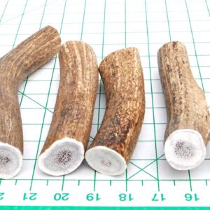 Big Dog Antler Chews - Extra Large 2-Pack Elk Antler Dog Chews, 6 Inches to 10 inches Long, for Medium to Large Dogs and Puppies