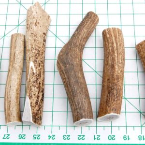 Big Dog Antler Chews - Extra Large 2-Pack Elk Antler Dog Chews, 6 Inches to 10 inches Long, for Medium to Large Dogs and Puppies