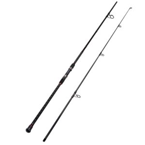 Fiblink Surf Spinning Fishing Rod 2-Piece Carbon Travel Fishing Rod (Length: 10')