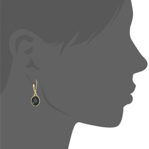 Anne Klein "Ear Spectacular" Gold-Tone Jet Single Stone Drop Earrings