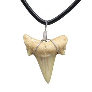 natural shark tooth necklace for boys, genuine fossil shark teeth jewelry for men, cool beach necklaces for teen girls, beachy surfer necklace for women