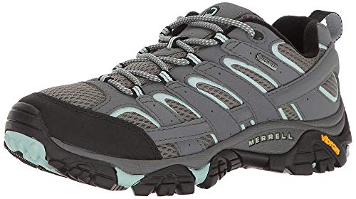 Merrell womens Moab 2 Gtx Hiking Shoe, Sedona Sage, 10.5 US