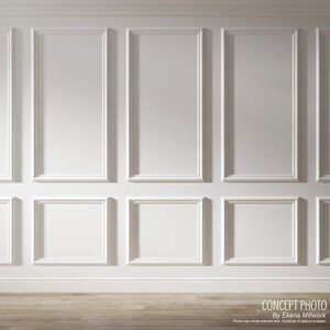 Ekena Millwork PNL16X24AS-01-CASE-2 Ashford Molded Classic Wainscot Wall Panel, 16"W x 24"H x 1/2"P, Factory Primed White, 2 Count