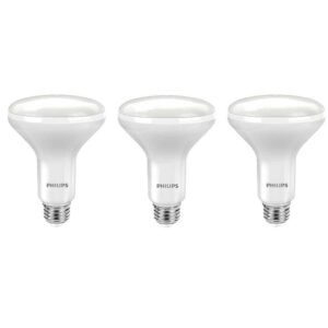 philips led dimmable light bulb