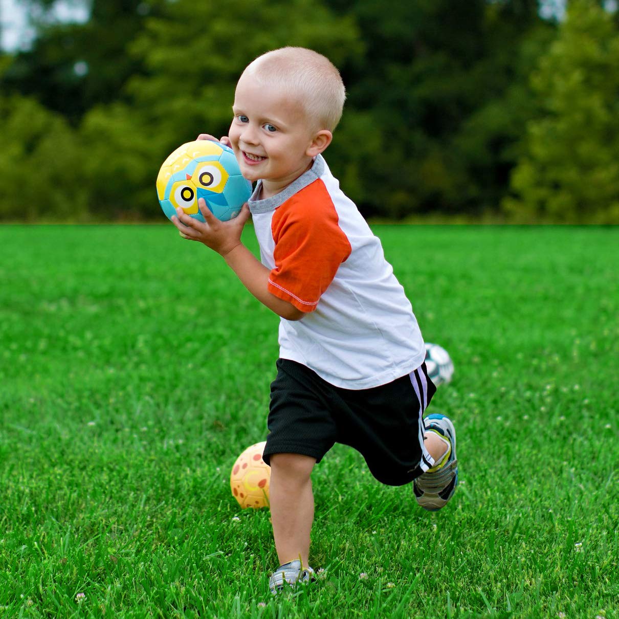 Daball Kid and Toddler Soccer Ball - Size 1 and Size 3, Pump and Gift Box Included (Size 1, Terry, The Fox)