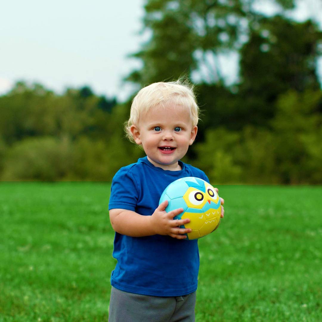 Daball Kid and Toddler Soccer Ball - Size 1 and Size 3, Pump and Gift Box Included (Size 1, Terry, The Fox)