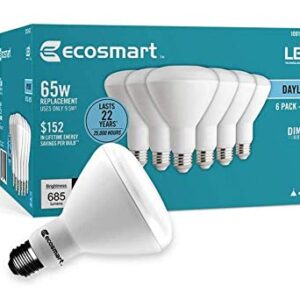 Ecosmart Daylight LED BR30 Dimmable Flood Bulb, 65W Replacement, 9 Watt, 685 Lumens - 5000K - Indoor/Outdoor Rated (6-Pack)