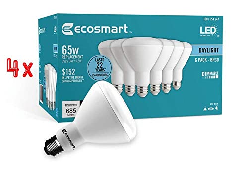 Ecosmart Daylight LED BR30 Dimmable Flood Bulb, 65W Replacement, 9 Watt, 685 Lumens - 5000K - Indoor/Outdoor Rated (6-Pack)