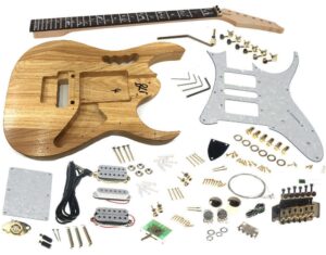 solo jem style diy guitar kit, ash body, hard maple neck vine inlay, jek-10