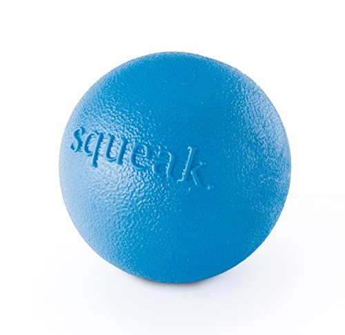 Outward Hound Orbee-Tuff Squeak Ball Blue Dog Fetch Toy