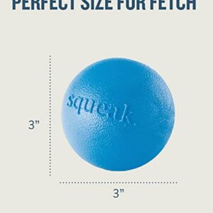 Outward Hound Orbee-Tuff Squeak Ball Blue Dog Fetch Toy