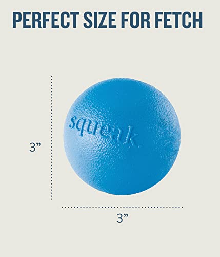 Outward Hound Orbee-Tuff Squeak Ball Blue Dog Fetch Toy