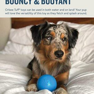 Outward Hound Orbee-Tuff Squeak Ball Blue Dog Fetch Toy