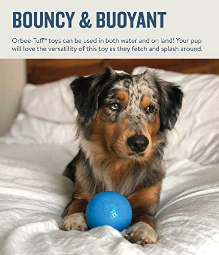 Outward Hound Orbee-Tuff Squeak Ball Blue Dog Fetch Toy